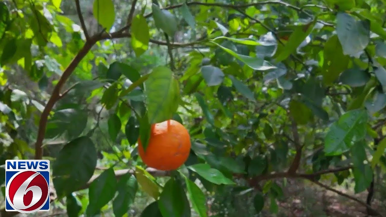 Justin Warmoth joins Julie Broughton on Take 6 - YouTube