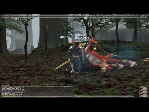 FFXI (Final Fantasy 11) Private server NIN GEAR +3 - YouTube