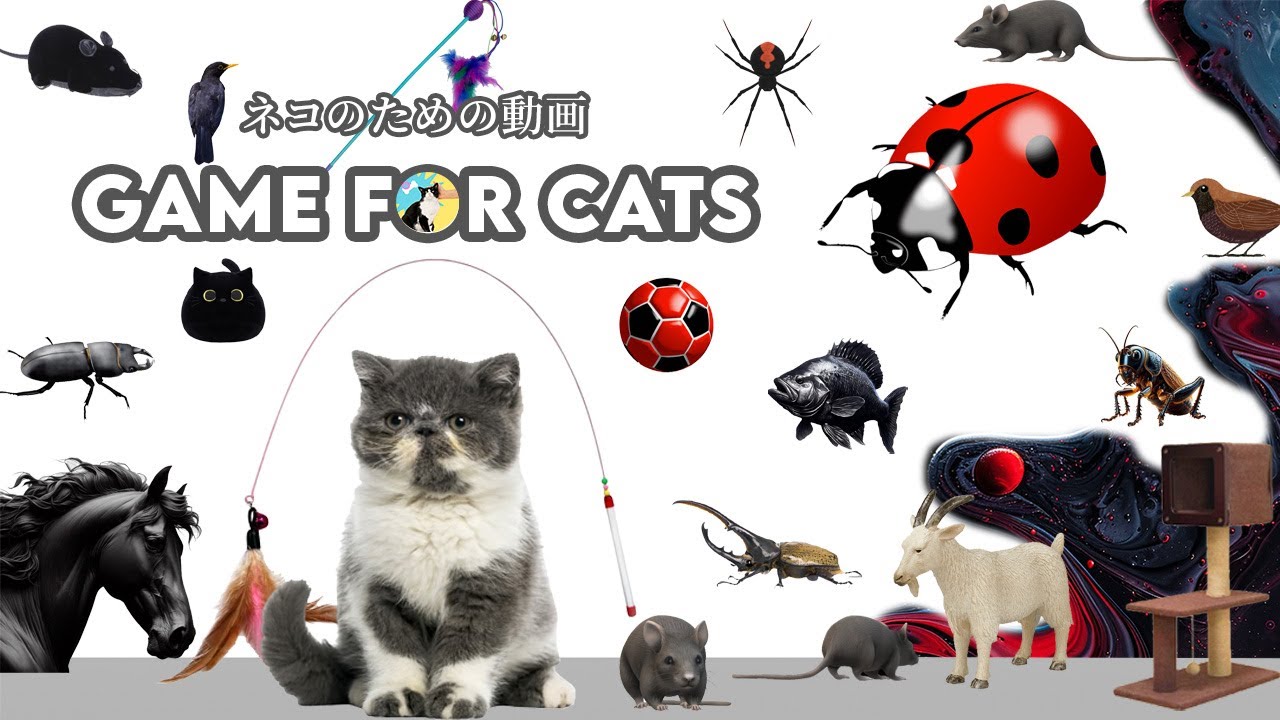 CAT GAMES | BEST CAT GAMES ULTIMATE Bugs, Mouse, Snake, Birds, Cricket ...