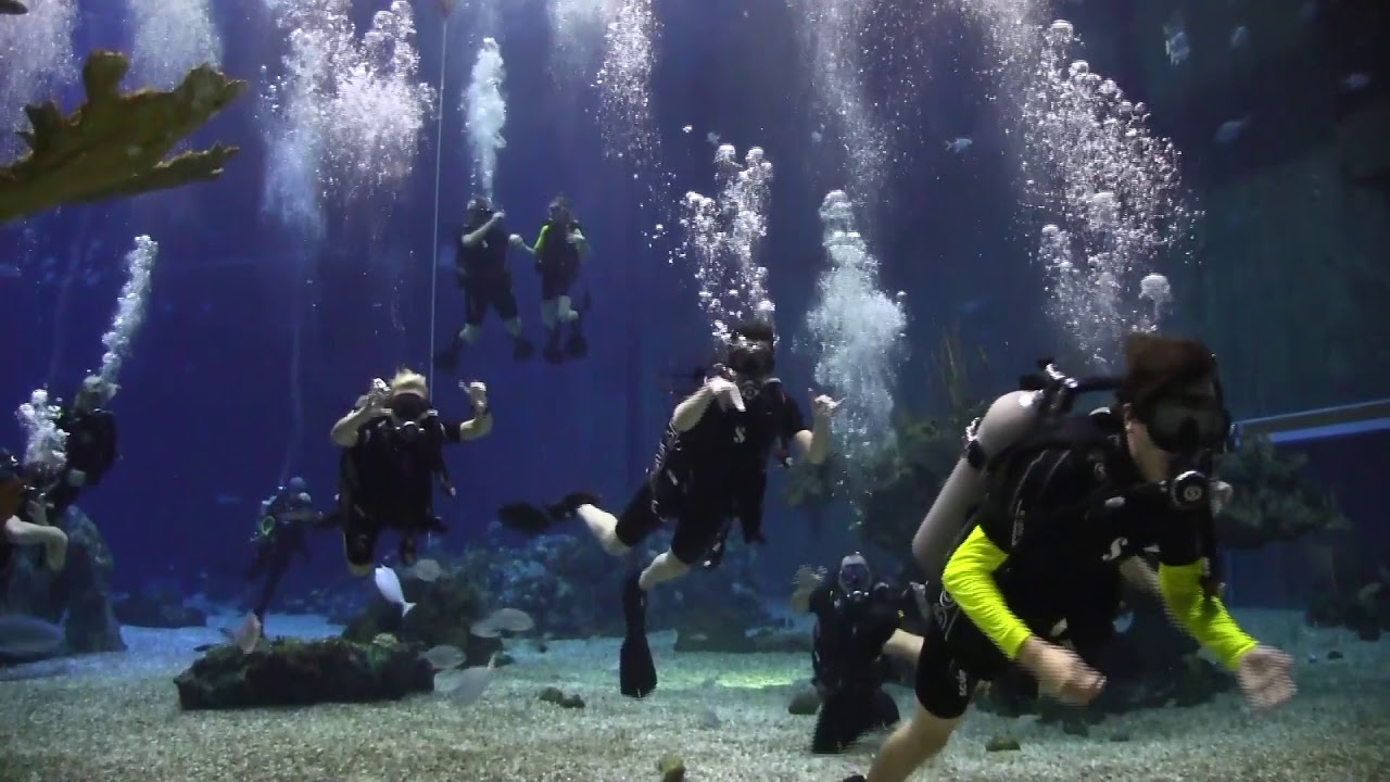 Epcot Dive 12/21/19 - YouTube