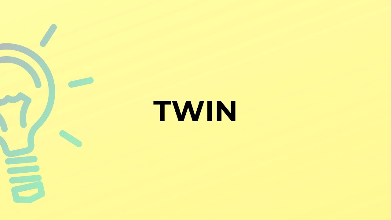 What is the meaning of the word TWIN? - YouTube