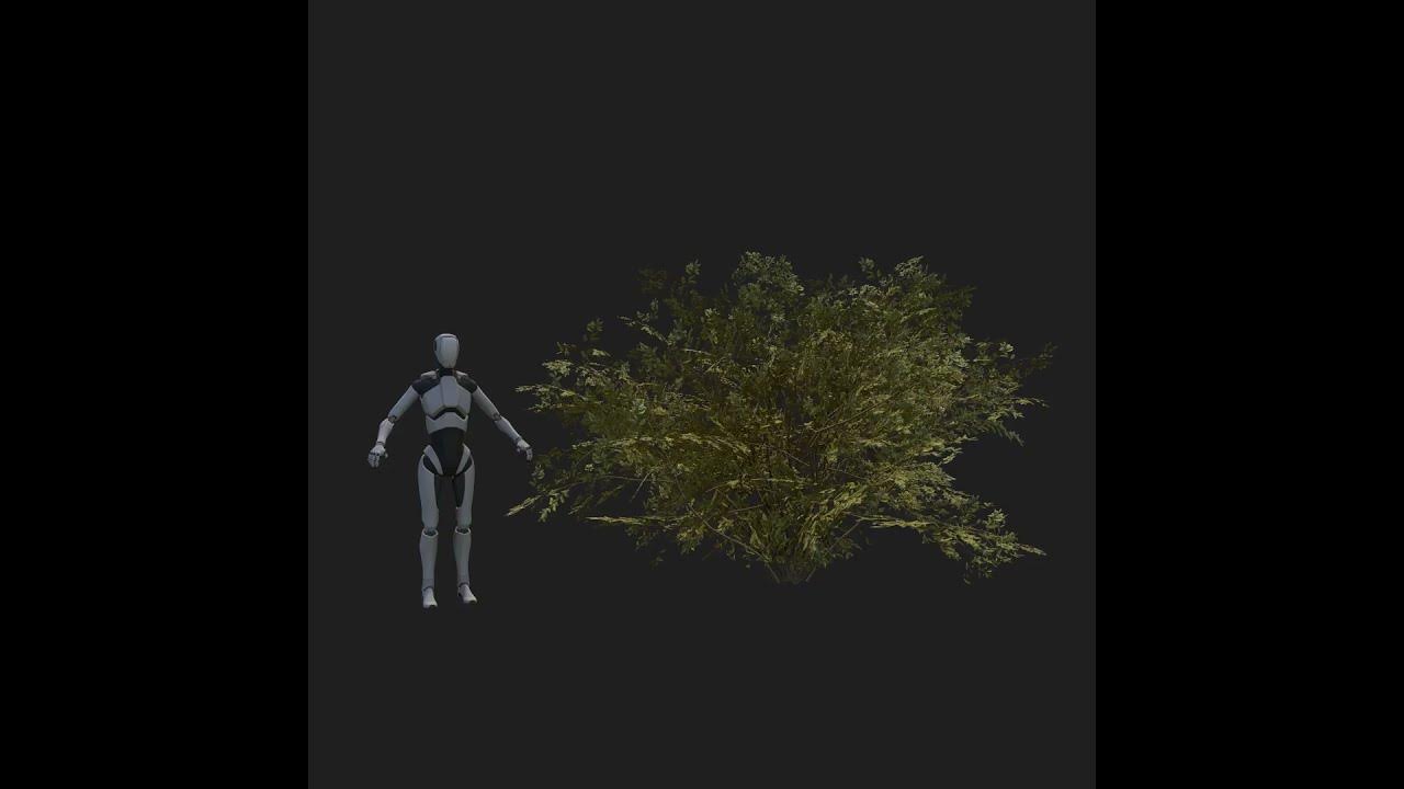 Shrub 02 V1 Gamedev 3dmodeling Unity Unityassetstore Unityasset Speedtree Youtube