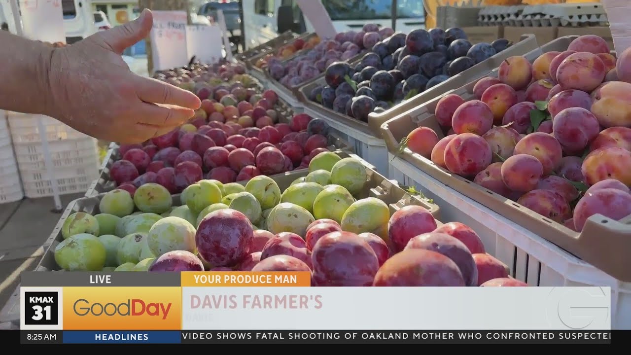 Your Produce Man @ the Davis Farmers Market 8am - YouTube