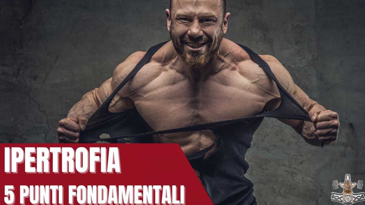 IPERTROFIA MUSCOLARE - 5 punti fondamentali - YouTube