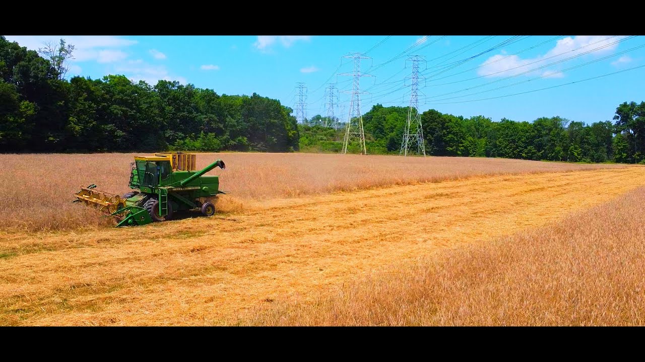 Combine Harvester | Cinematic Drone Video - YouTube