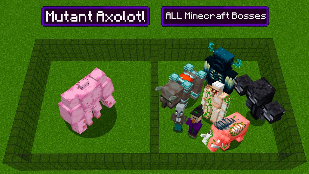 Buffed Axolotl VS ALL Minecraft Boss - YouTube