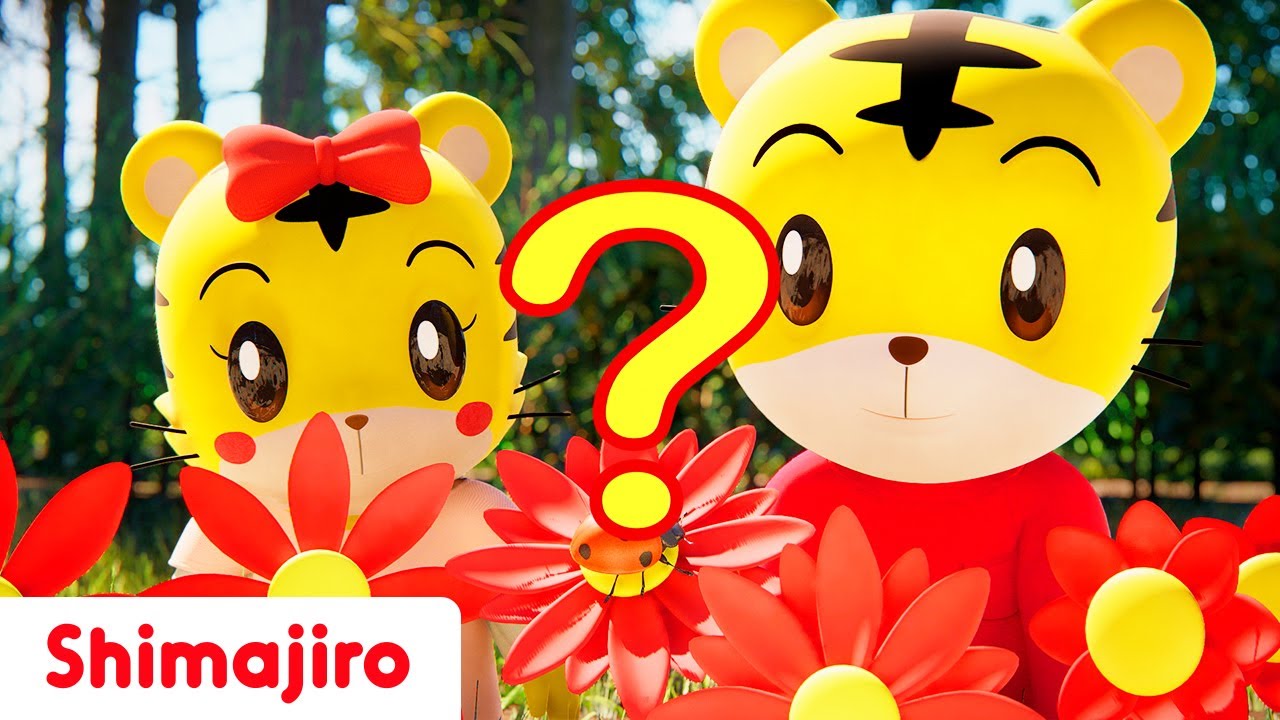 🎨Can You Guess the Color?🌈 | Fun Learning Songs with Shimajiro 🎶 ...