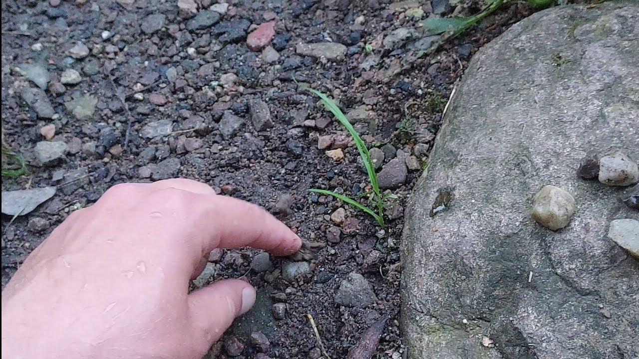 * Digging for Gem Treasures - YouTube