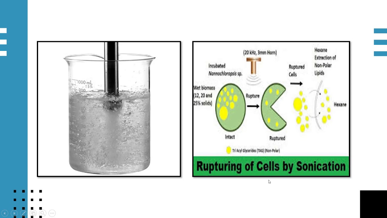 advanced laboratory techniques theoretical / lecture 8 - YouTube