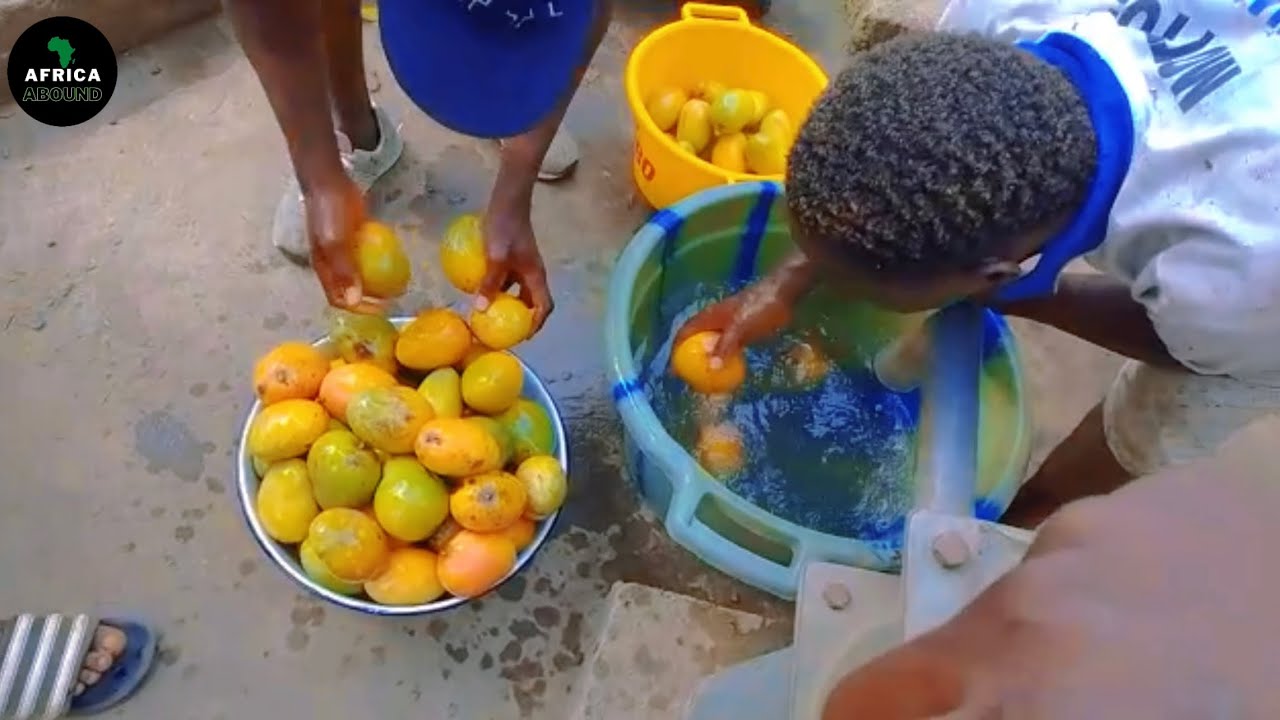 Washing Mangoes before eating🥭 In Sierra Leone 🇸🇱 African Village Life ...