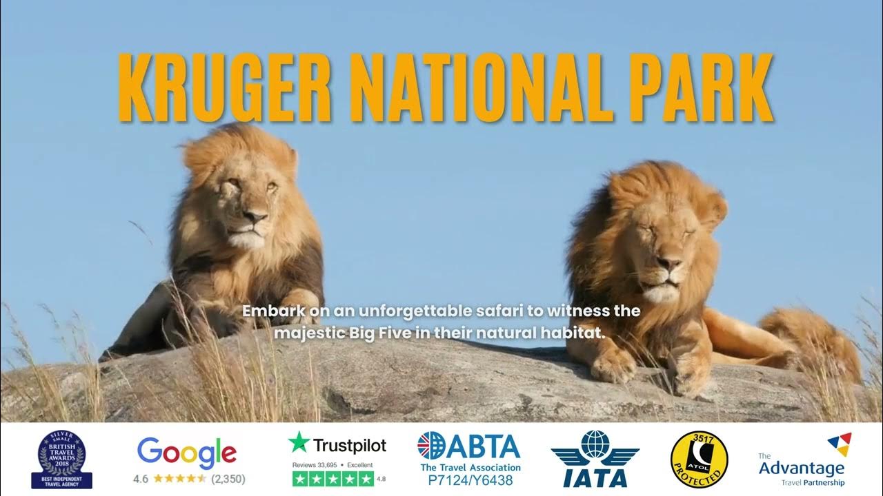 Must Visit South Africa Marvels in 2024! - YouTube