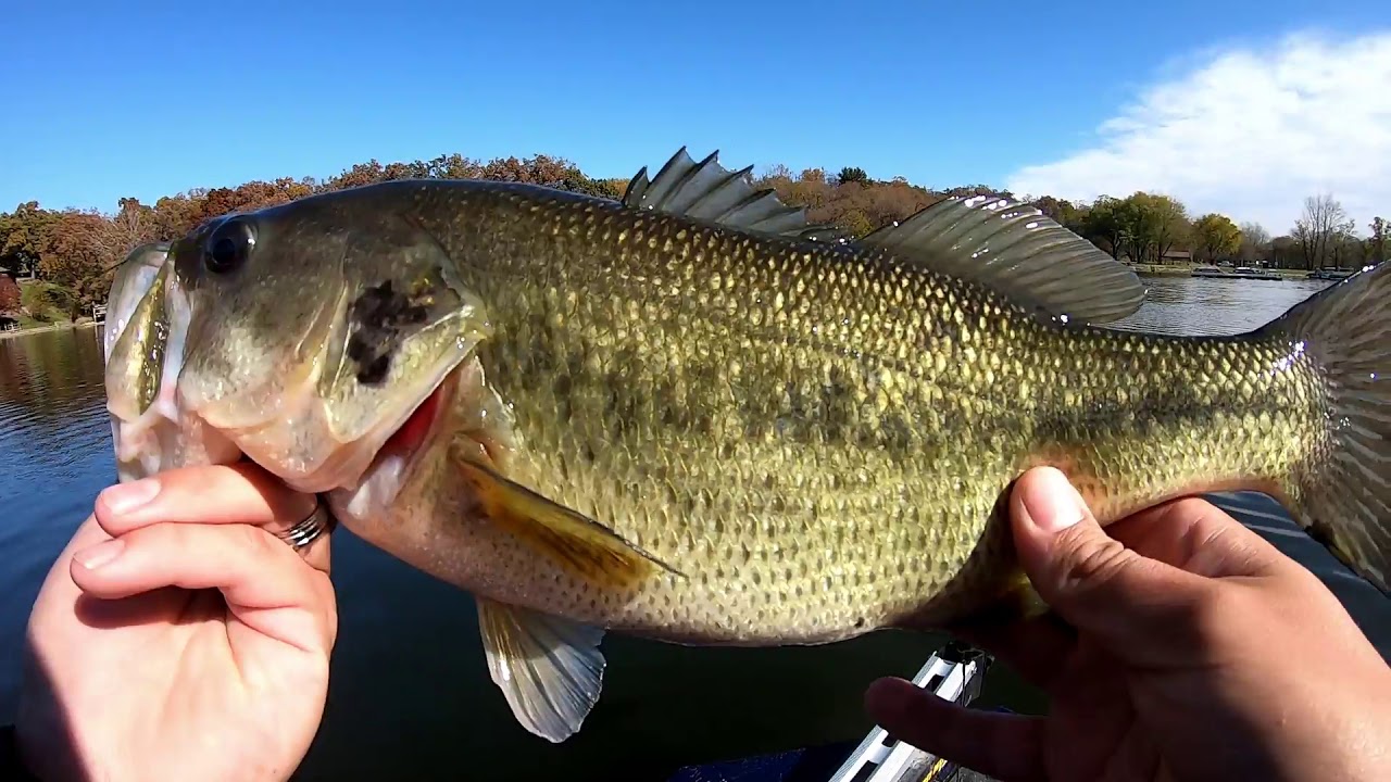 The DONKEY Rig (AKA Double Fluke) - YouTube