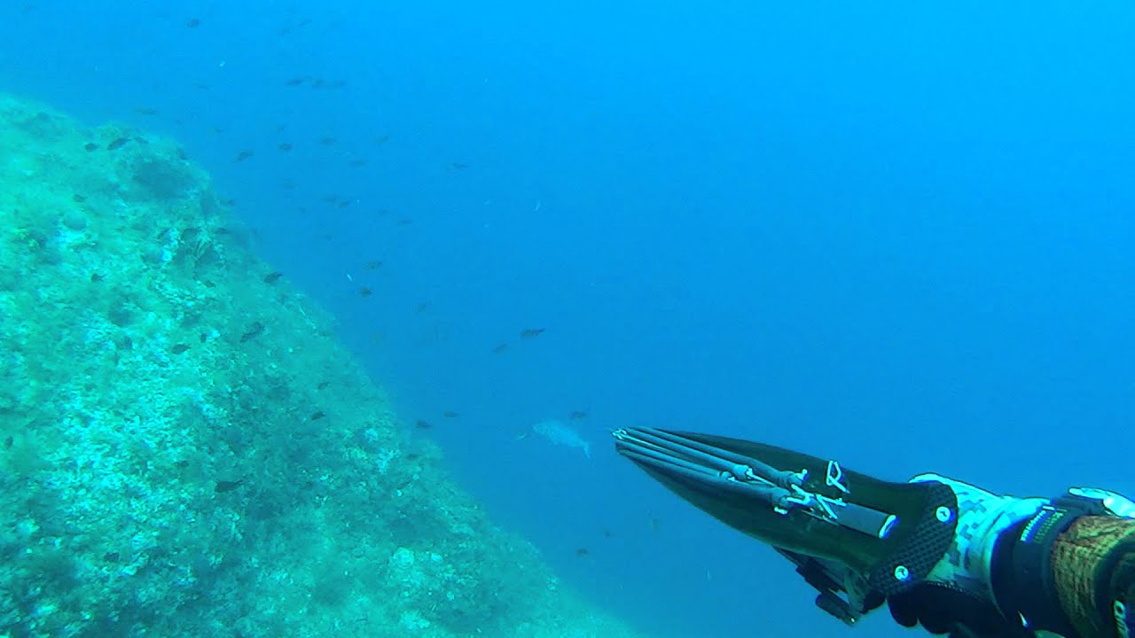 Zobatec Plavnik 2015 - YouTube