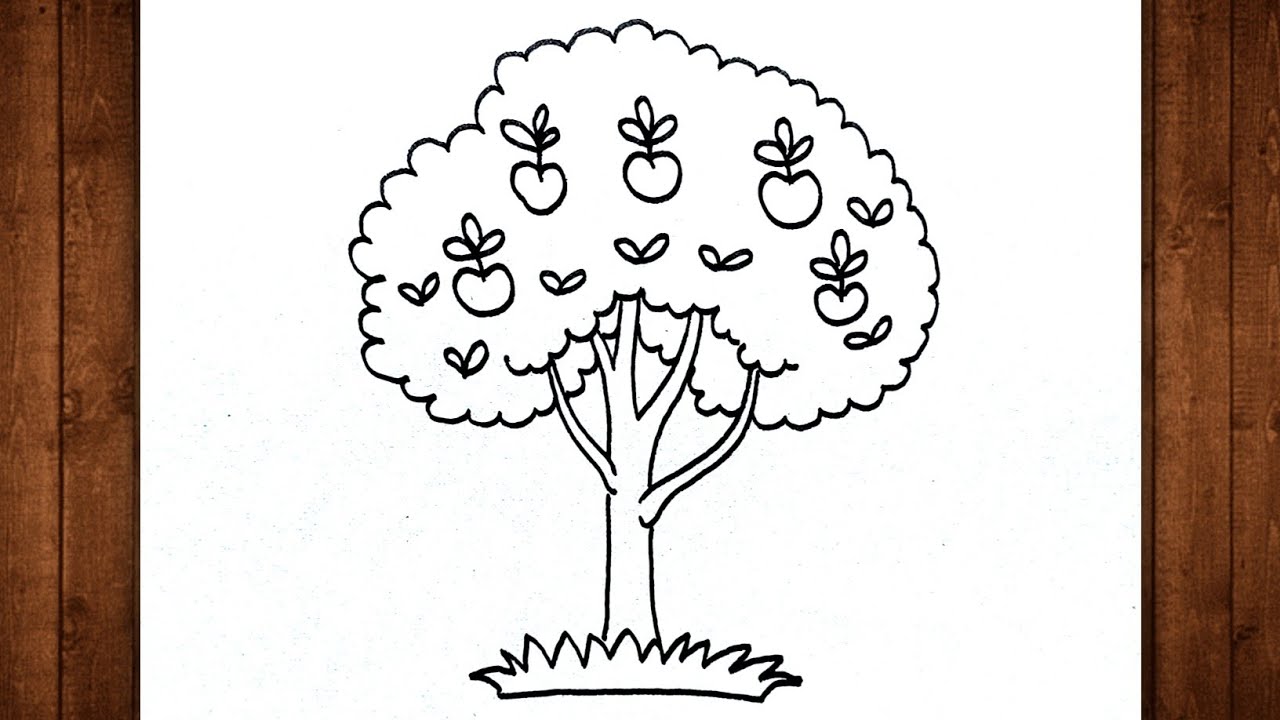 Apple Tree Drawing / Tree Drawing / How To Draw a Tree - YouTube