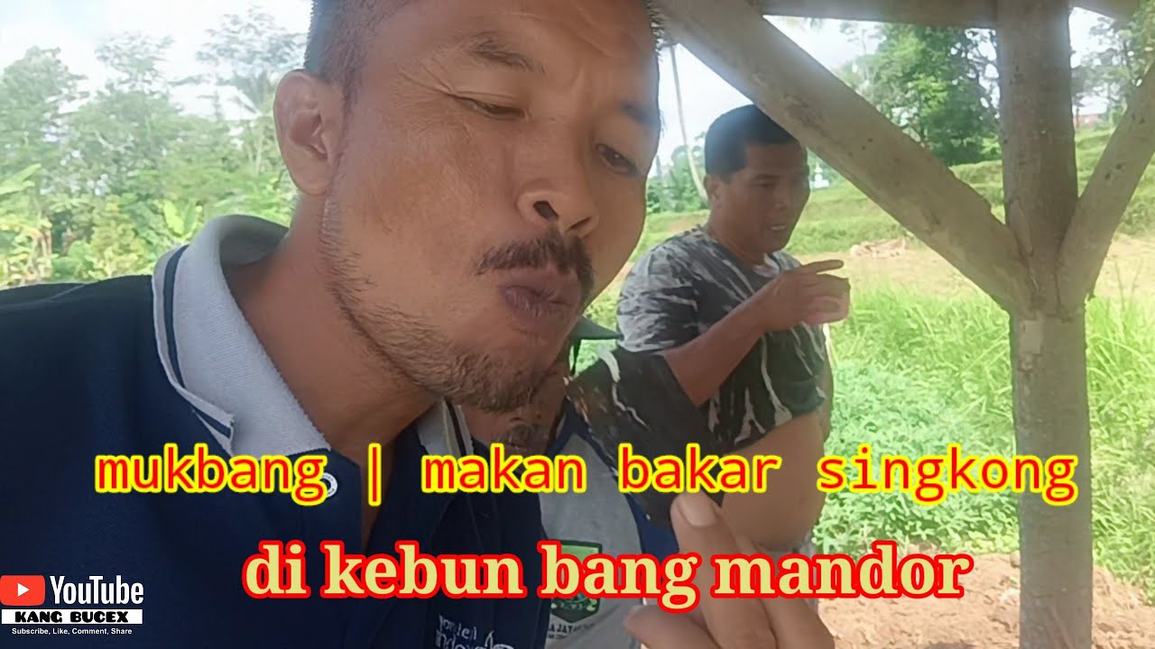 mukbang | makan bakar singkong | di kebun bang mandor - YouTube