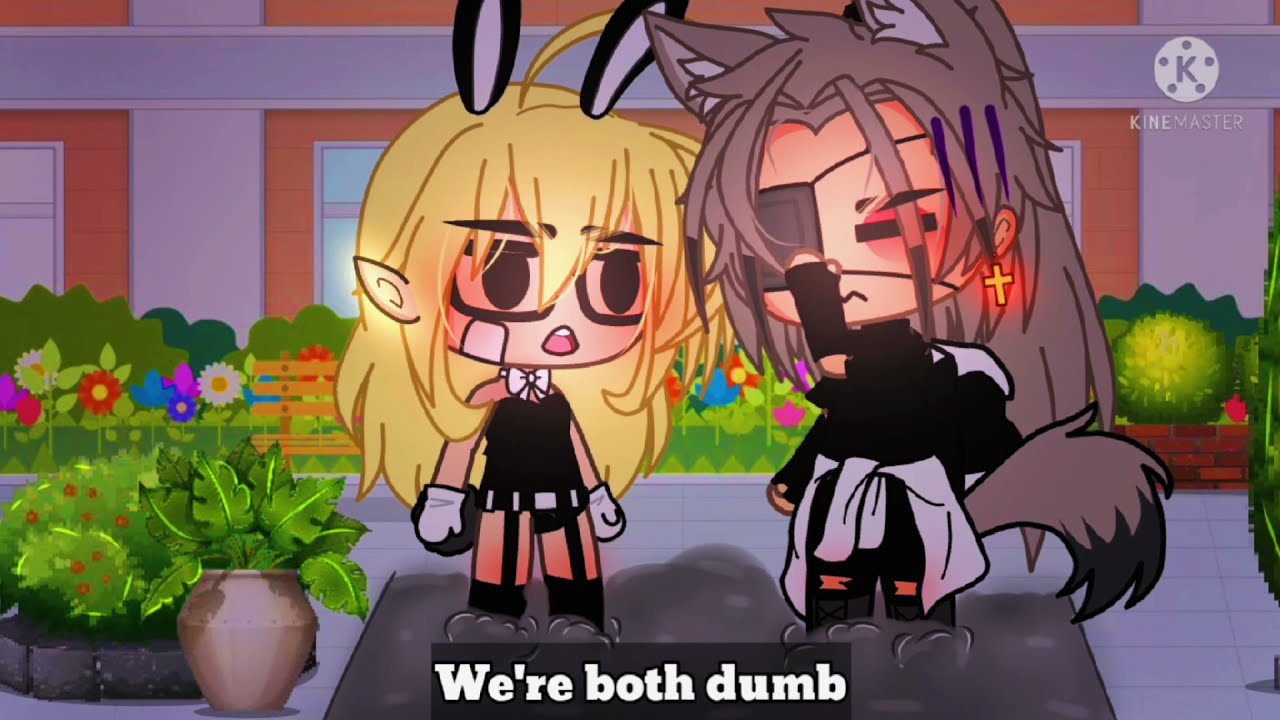 [🦊] Sly Fox, Dumb Bunny [🐇] °MeMe° - YouTube
