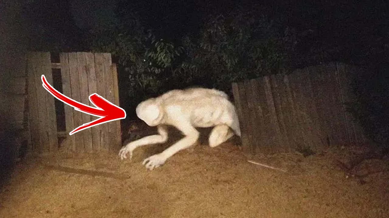 Top 5 Trevor Henderson Creatures That Should Be In The SCP Foundation ...