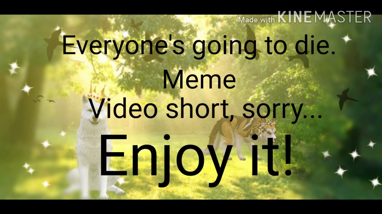 Everyone will die.... meme - YouTube