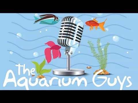 Who Are... The Aquarium Guy's ( Podcast )? - Friendly Chaos Welcomed ...