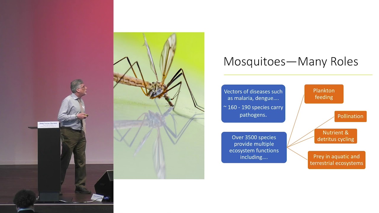 Presentation: Gene Drive Applications by Doug Gurian-Sherman - YouTube