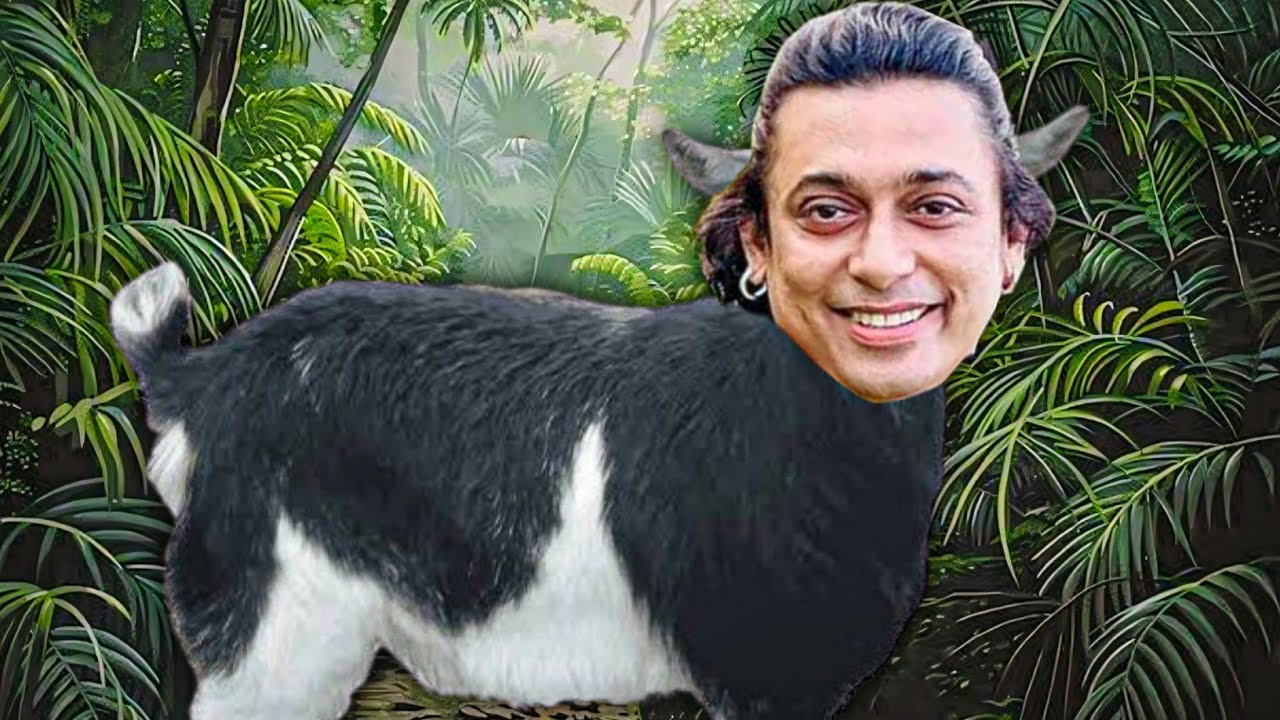 Patha Of The Year!☝️ - YouTube