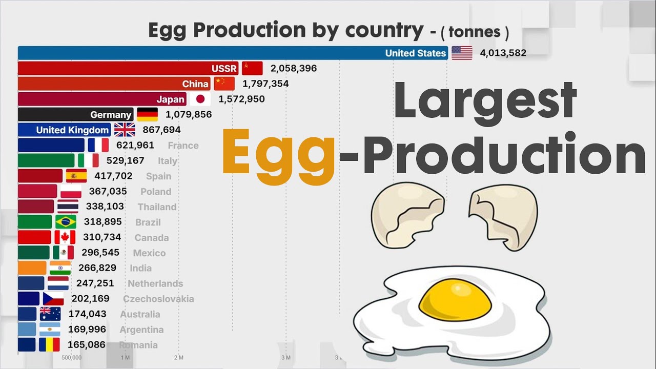 World's Largest EGG PRODUCERS from 1961 - 2025 - YouTube