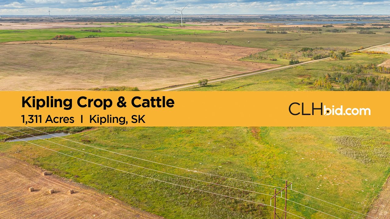 Kipling Crop & Cattle I SK Farm Land For Sale I Kipling, SK - YouTube