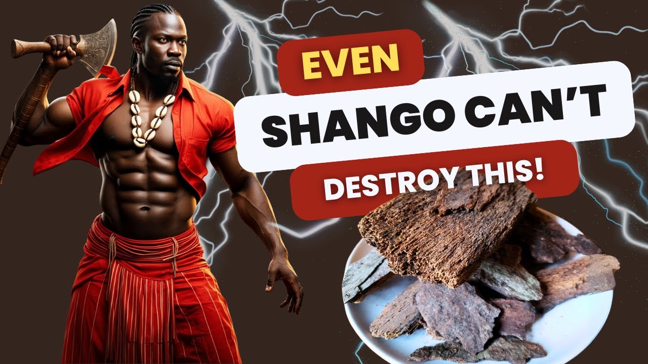 The Secrets Of Shango & Igi Nla Bark For Spiritual Protection #iginla ...