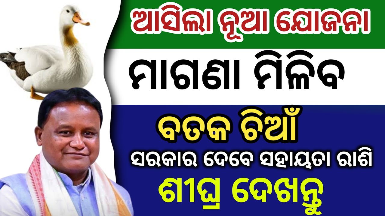 Batak farm in odisha!!kukuda farm odisha!!kukuda farm subsidy!!Kukuda ...