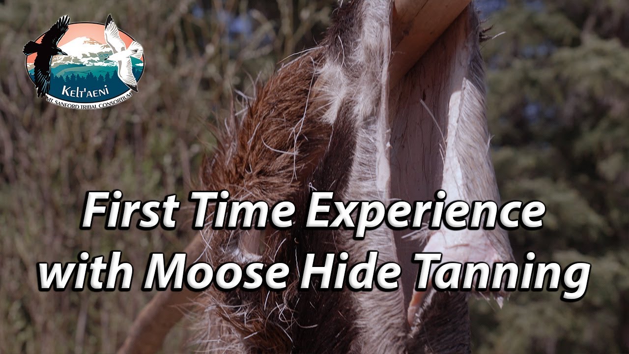 Dogsled Digital Stories | First Time Experience with Moose Hide Tanning ...