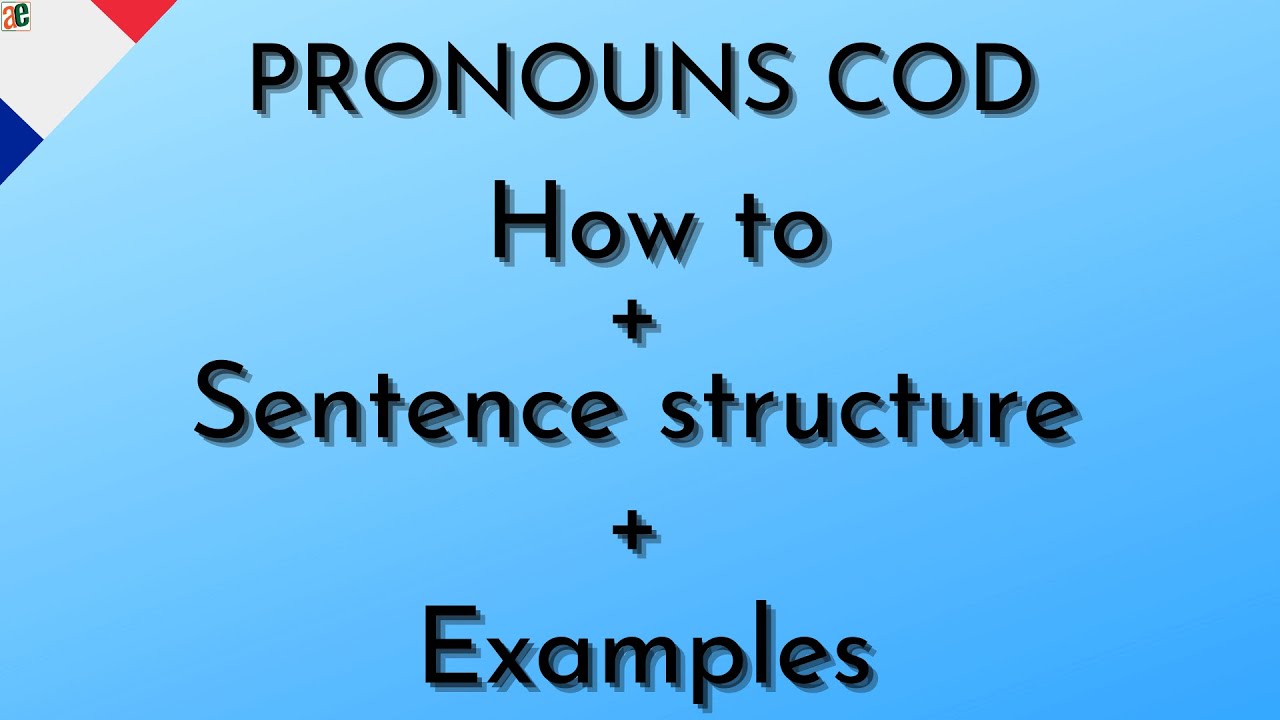Pronouns COD | French for beginners - YouTube