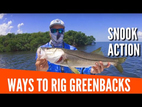 Catching Snook in Florida | My Two Favorite Ways to Rig Greenbacks ...
