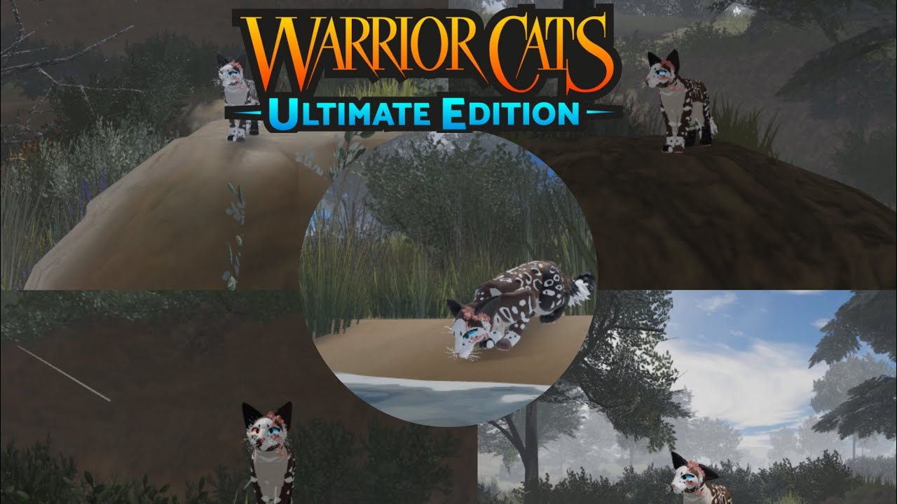 NEW REVISED MAP +PREY UPDATE||WCUE - YouTube