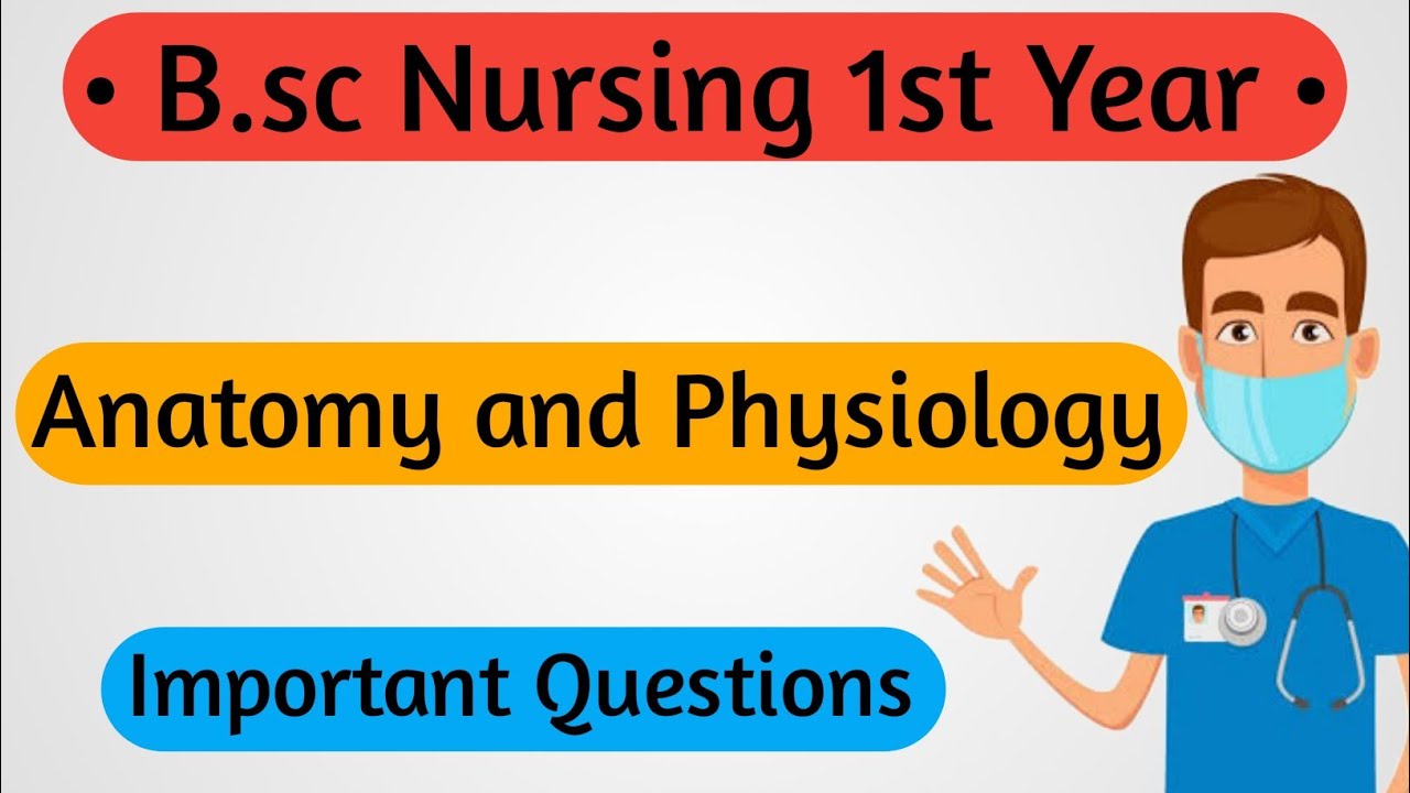 Anatomy and Physiology Important Questions For Bsc Nursing 1st Year ...