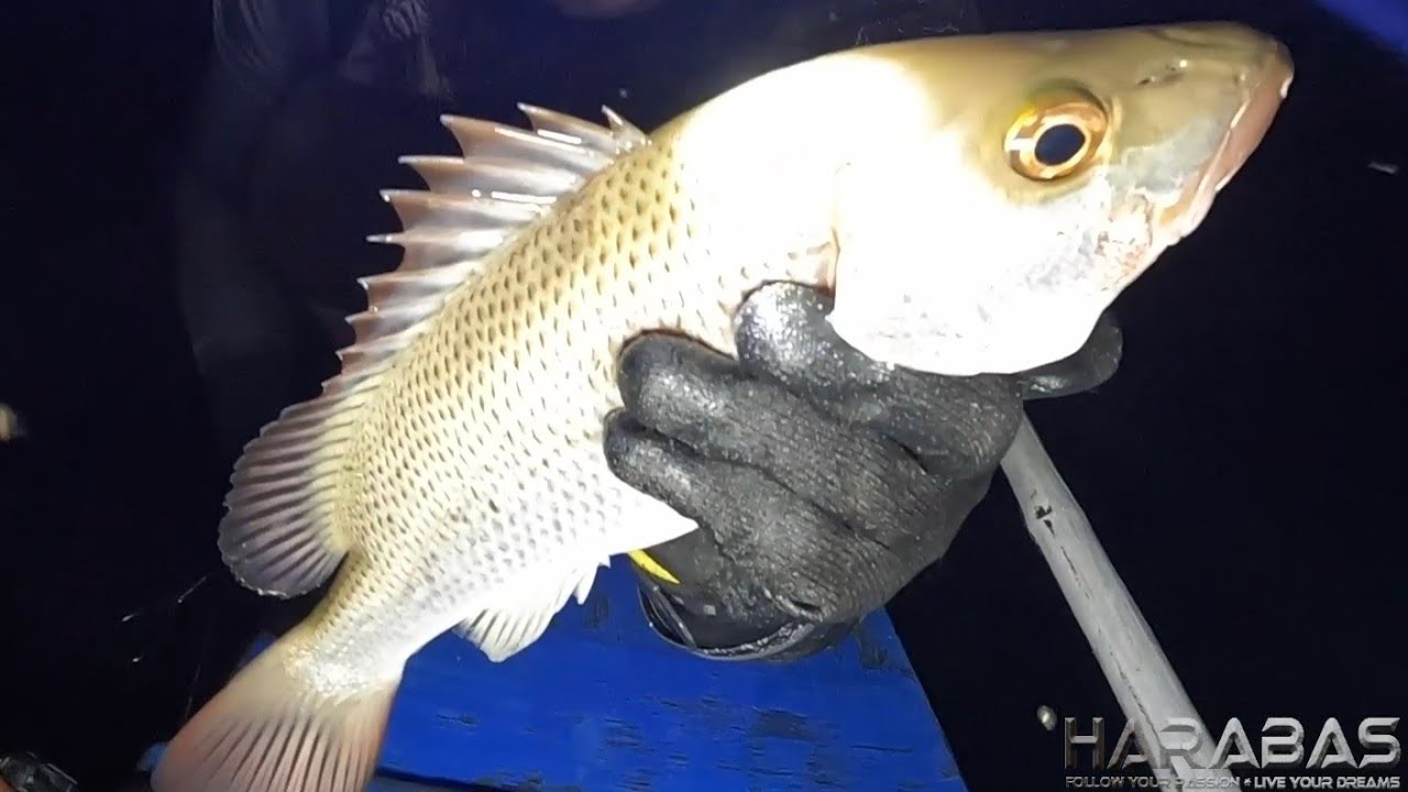 EP790-P1 - Inabot ng Ulan sa Pangingitang | Occ. Mindoro - YouTube