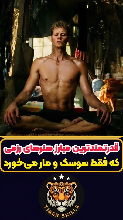 قدرتمند ترین مبارز جهان که هرگز نباید بهش دست زد معرفی بهترین فیلم ها و سریال های جهان که باید