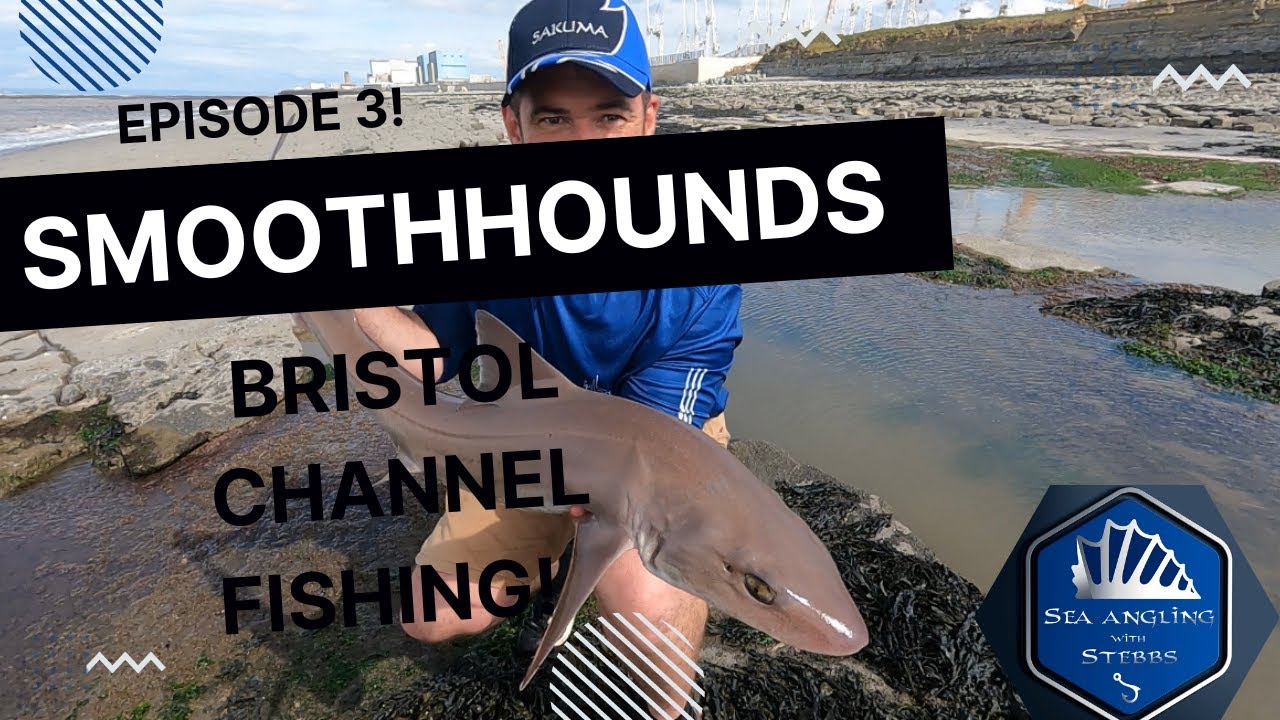 Smooth Hound Fishing @ Shurton reefs/ Hinkley point / Lilstock Bristol ...