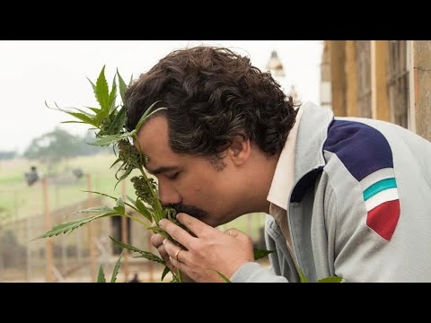 Pablo Escobar Sad Edit
