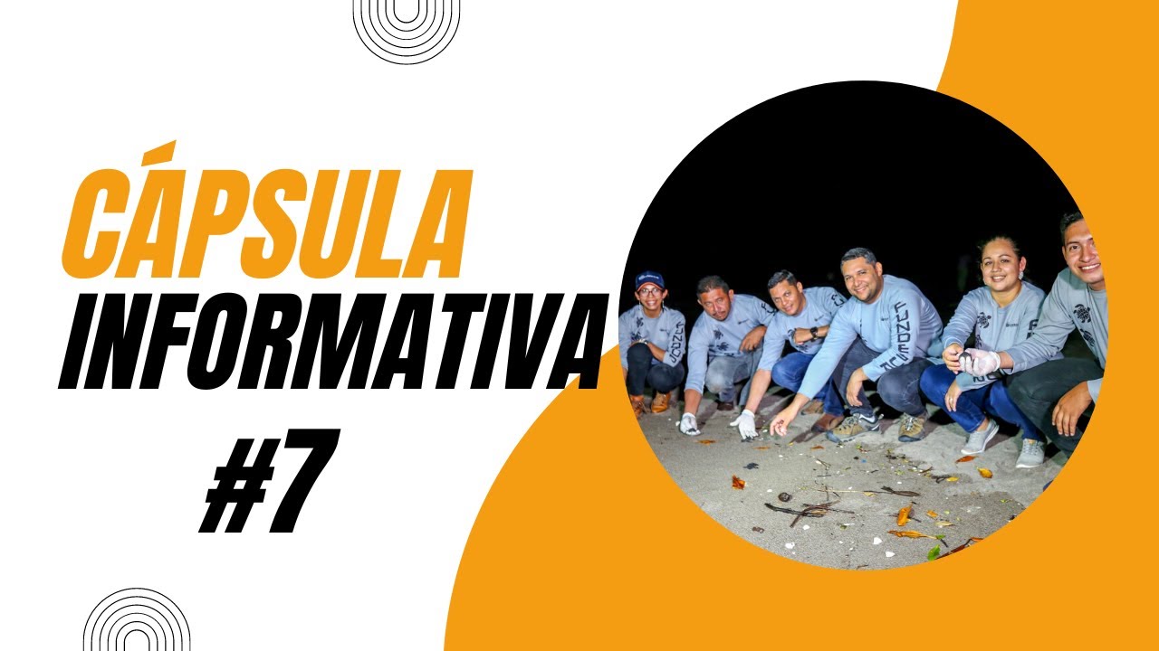 capsula informativa #7 - YouTube