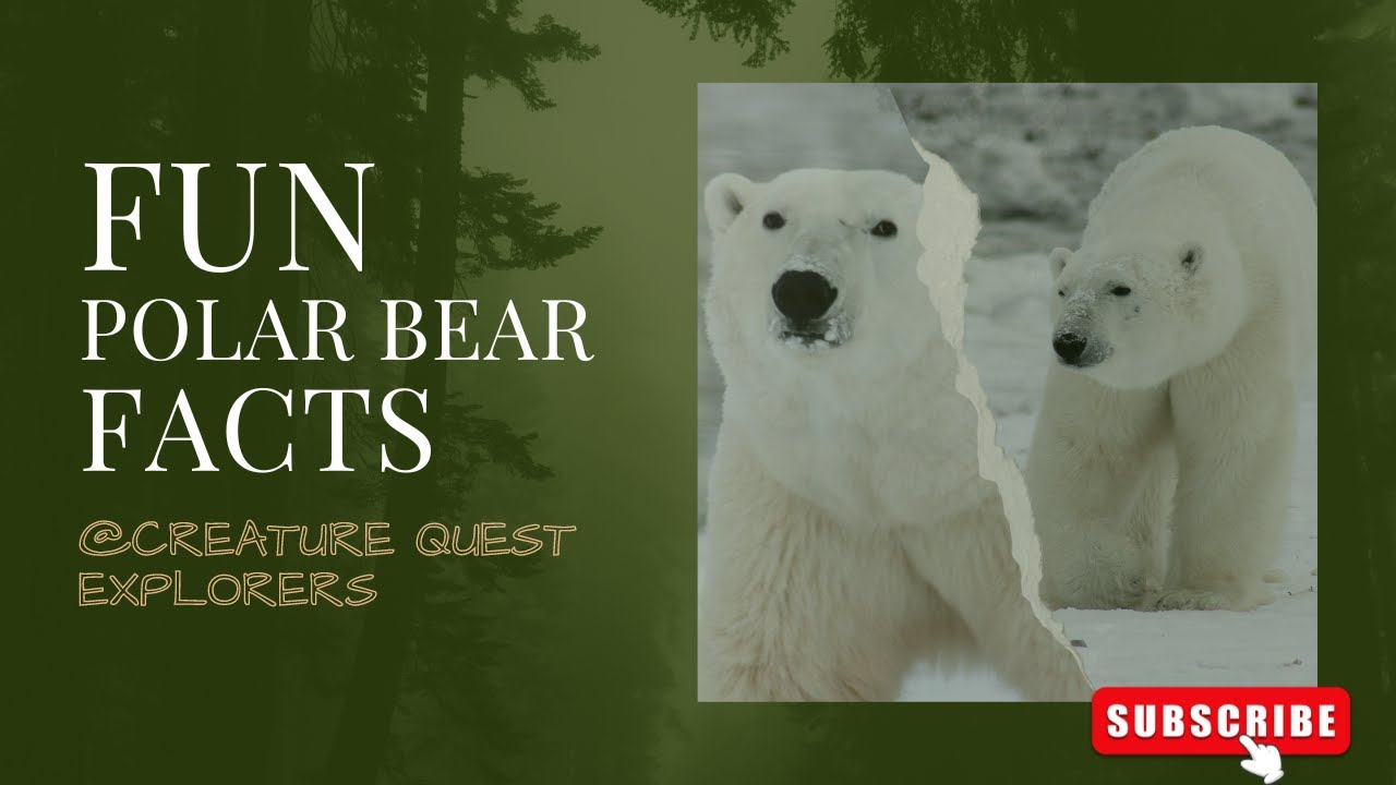 Adventures with Arctic Giants: Exploring the World of Polar Bears 🐾 ...