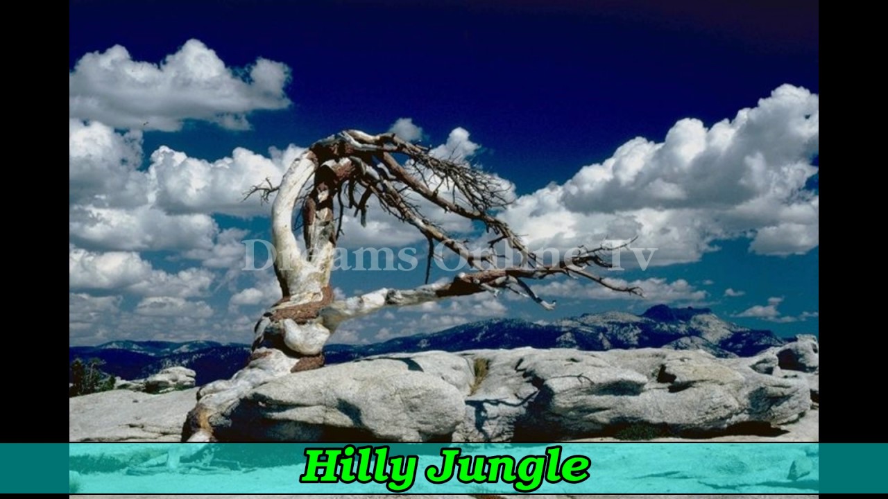 Amazing Hilly Jungle WOW world Nature - YouTube