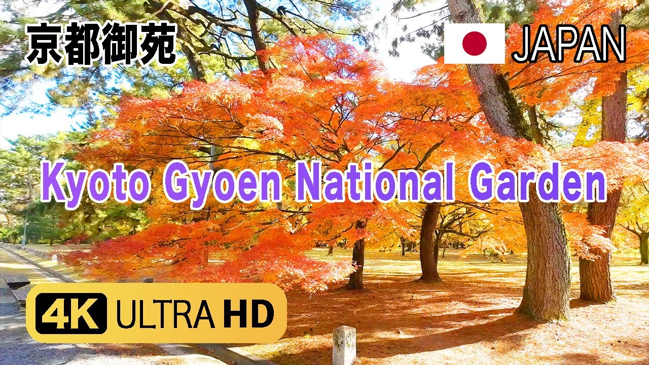 【Walking-Around Video】Kyoto Gyoen National Garden[4K]京都御苑 - YouTube