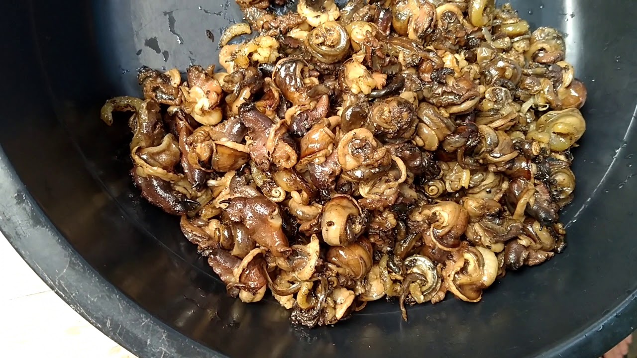 Cooking Kuhol - YouTube