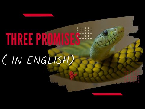 The Three Promises @luckyqueenstories #shortstoriesinenglish # ...