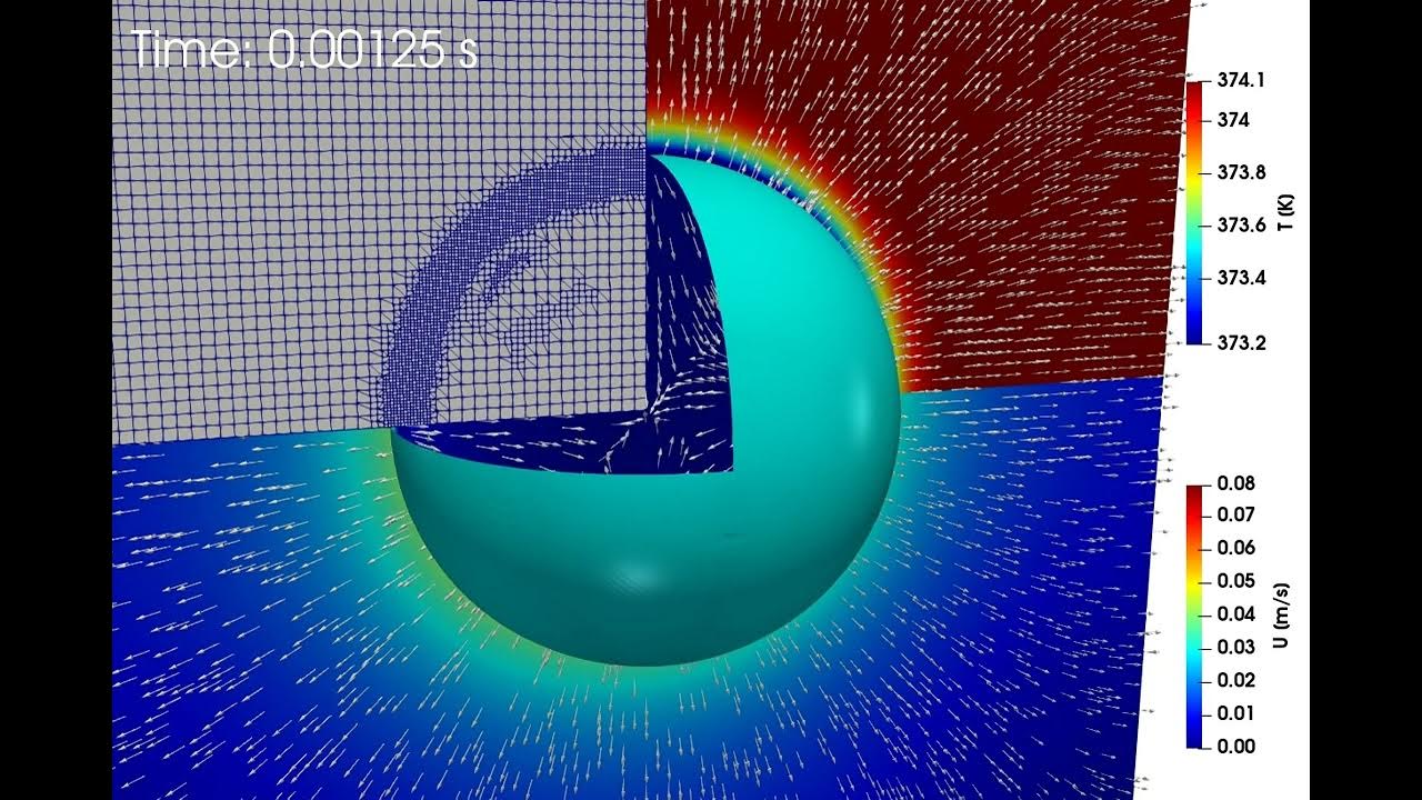 Growth of a spherical bubble within a superheated liquid - 3D OpenFOAM+AMR - YouTube