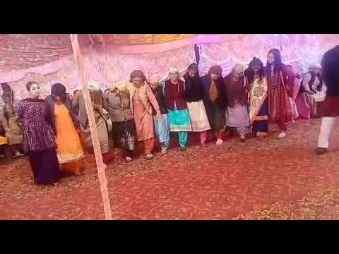 Himachali nati dance, Kotkhai wedding dance, pahari song💖🤩 - YouTube