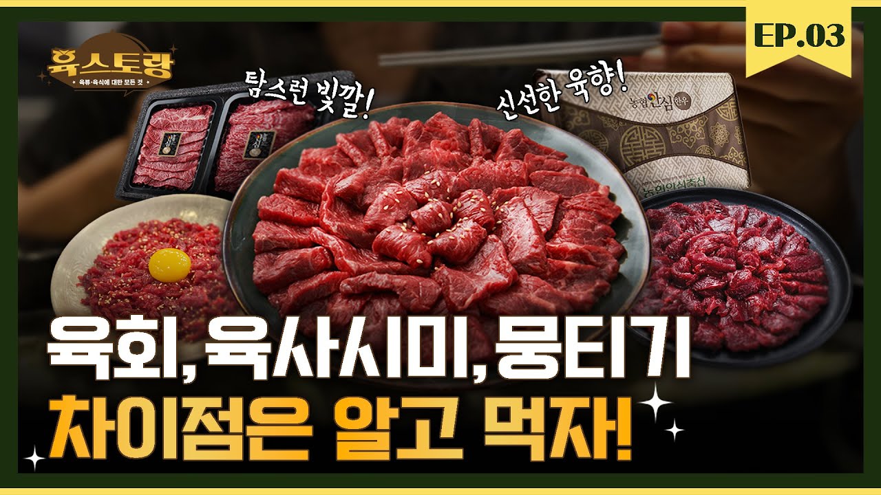 육회 육사시미 뭉티기의 차이점은 육회의 모든 것을 알려드립니다 Feat 농협 안심한우|육스토랑 Ep 03 Youtube