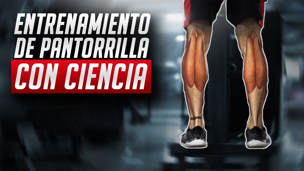 El mejor entrenamiento de pantorrilla / CIENTÍFICAMENTE COMPROBADO ...