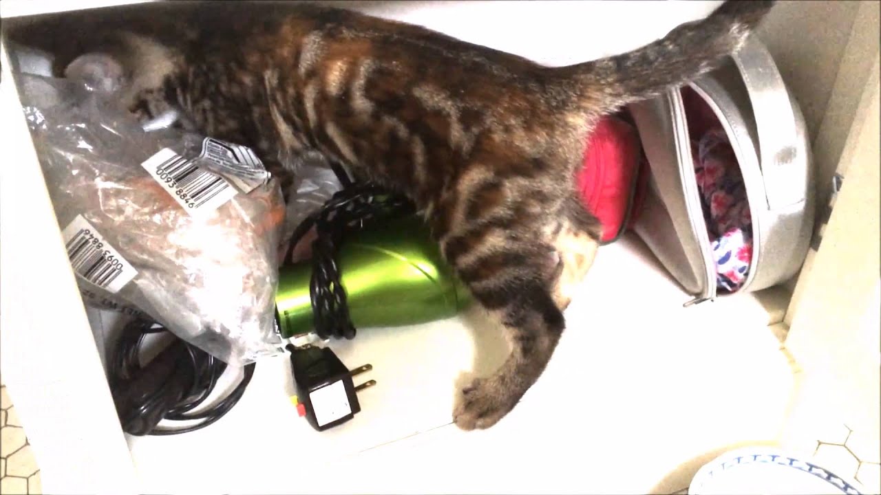 Olive movie - YouTube