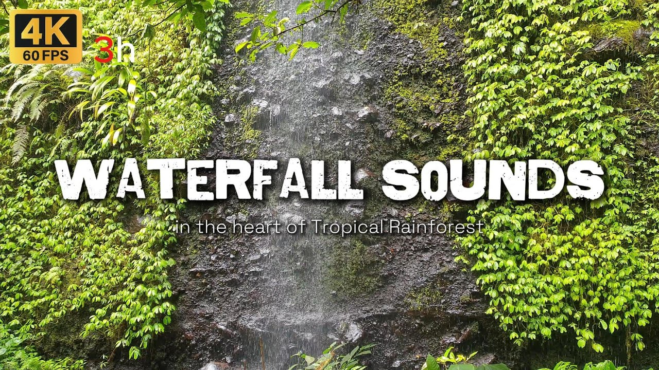 Waterfall Sounds - 4K 3 hours Relaxing Sounds in the Heart of Tropical ...